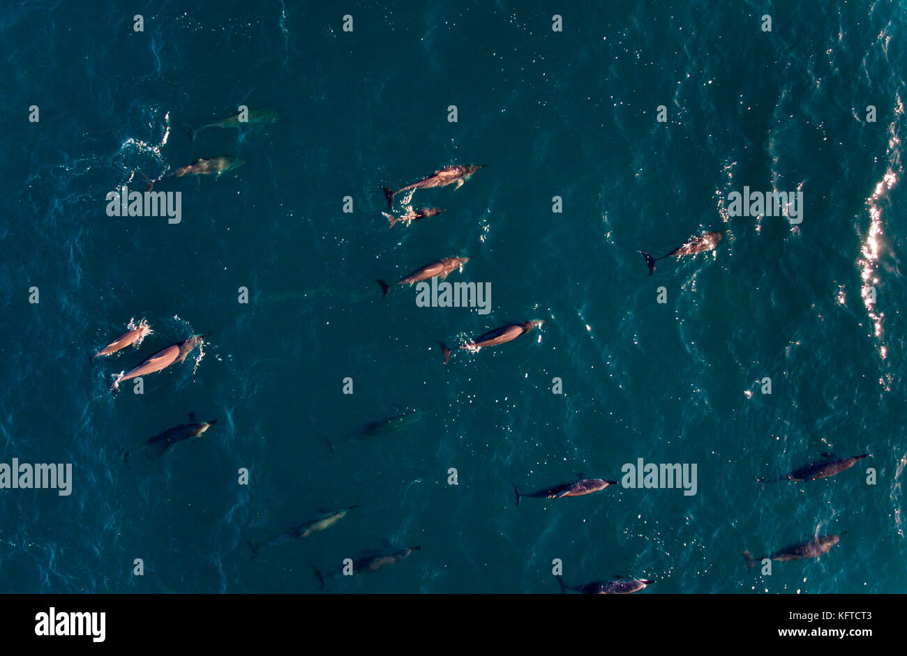 Red bus converted into a cafe, Saint Martin, Mauritius Stock Photo - Alamy