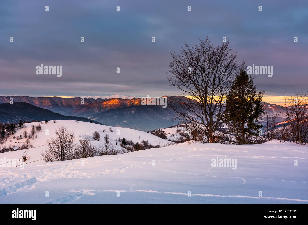 trees on the snow covered hill at sunrise. gorgeous mountain ridge with ...