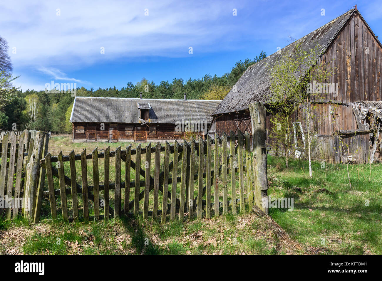 Abandoned farm in Kampinos Forest (Polish: Puszcza Kampinoska) - large ...