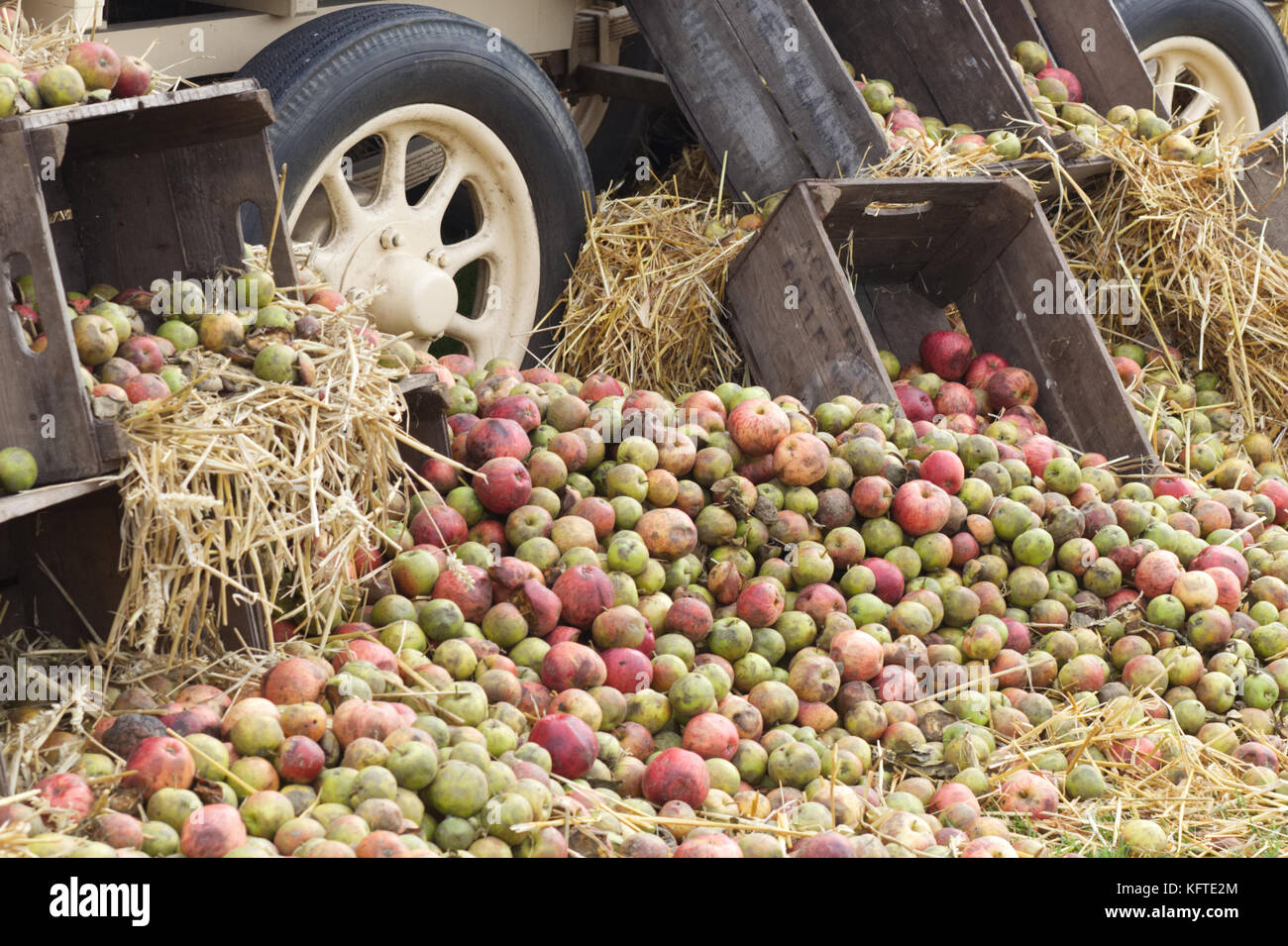 Displaying autumn harvest display hi-res stock photography and images ...