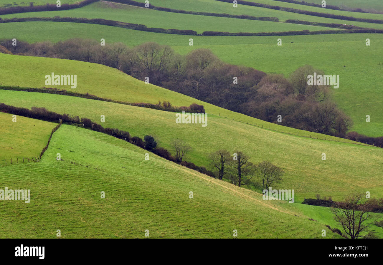 Rolling green fields and meadows full of grass and arable crops on ...