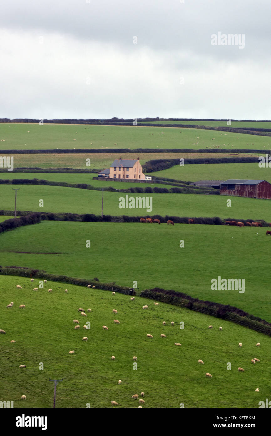 A remote farmhouse set among rolling green fields of crops and hills in ...