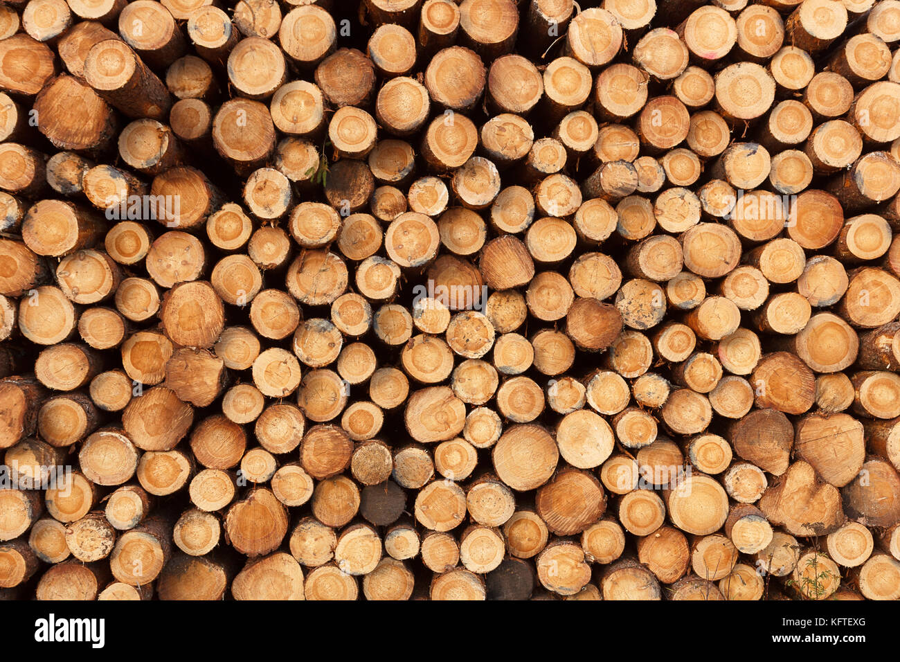 stack of logs Stock Photo - Alamy