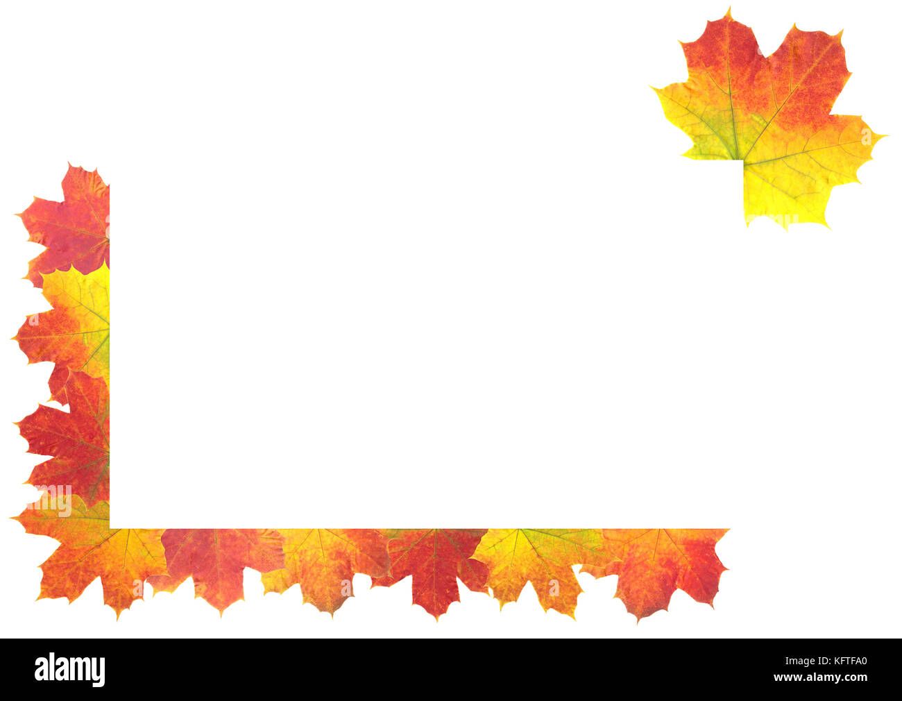 Autumn Leaves as frame on white background Stock Photo - Alamy