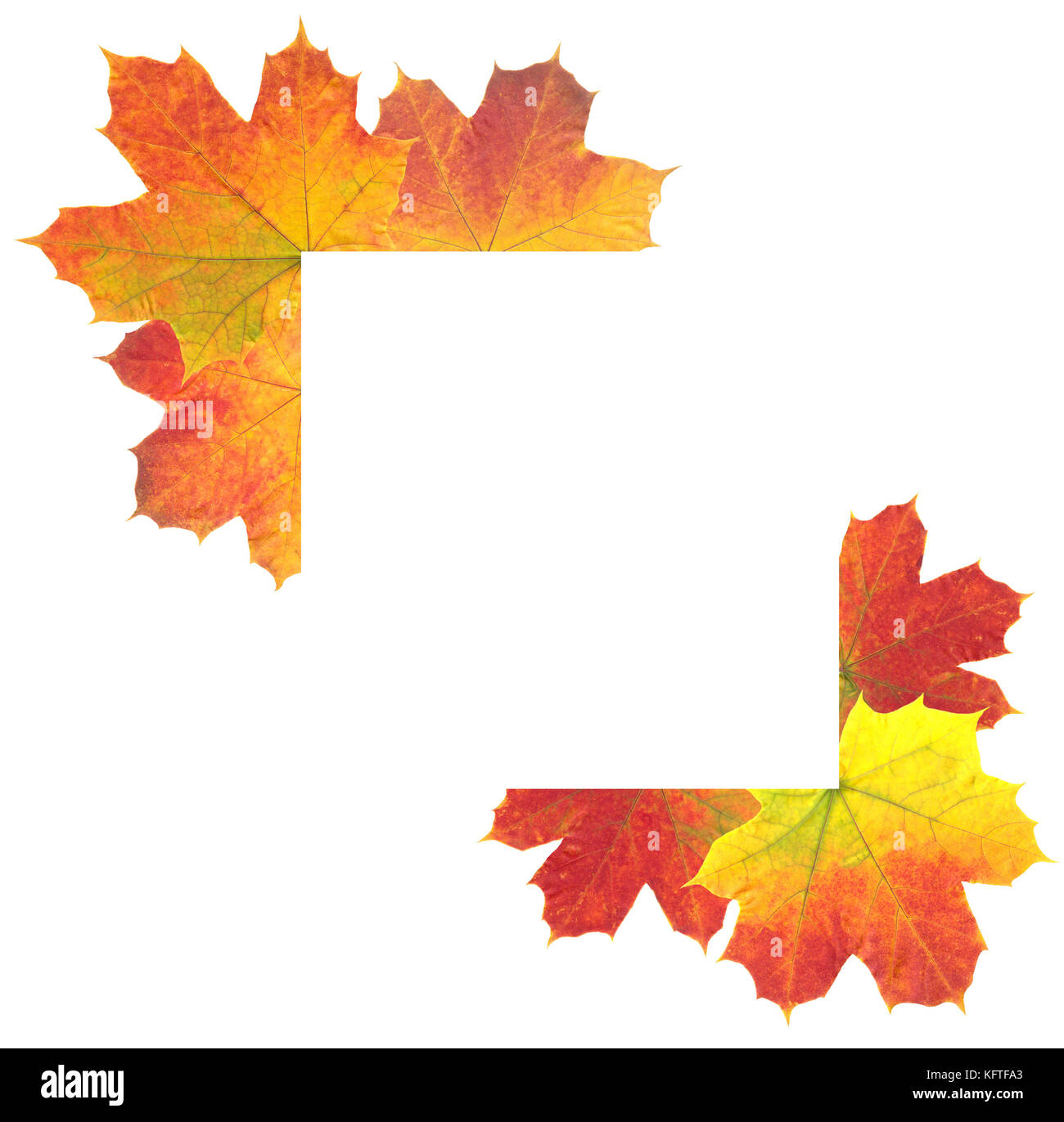 Autumn Leaves as frame on white background Stock Photo - Alamy