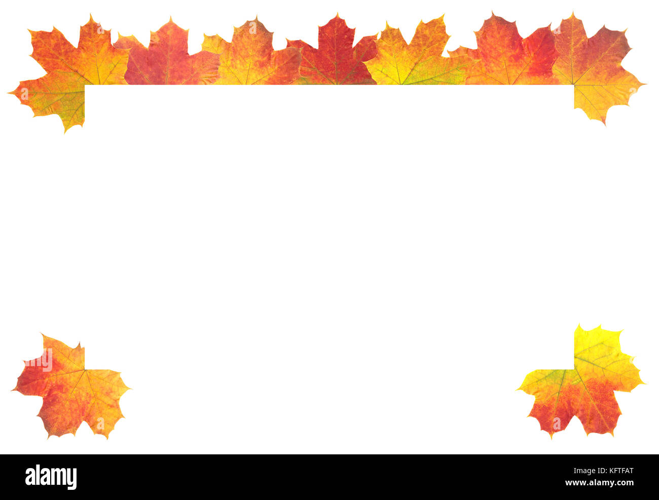 Autumn leaves banner isolated leaf Cut Out Stock Images & Pictures - Alamy