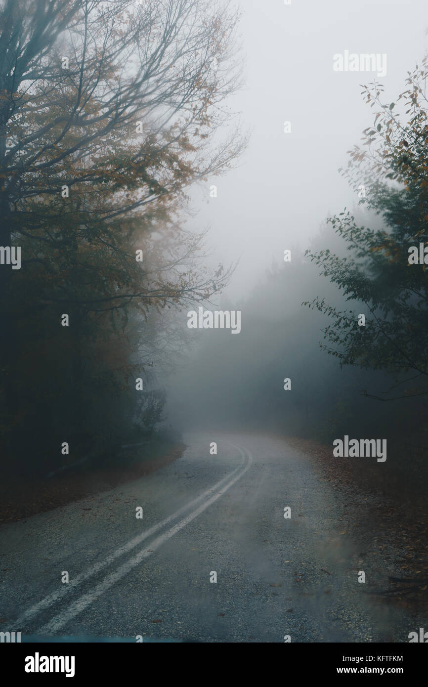 Autumn landscape, foggy road in forest Stock Photo - Alamy