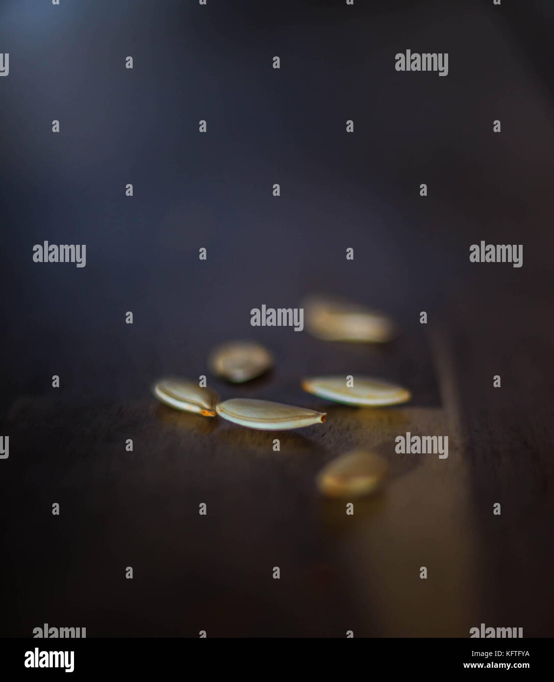 Scattering seeds hi-res stock photography and images - Alamy