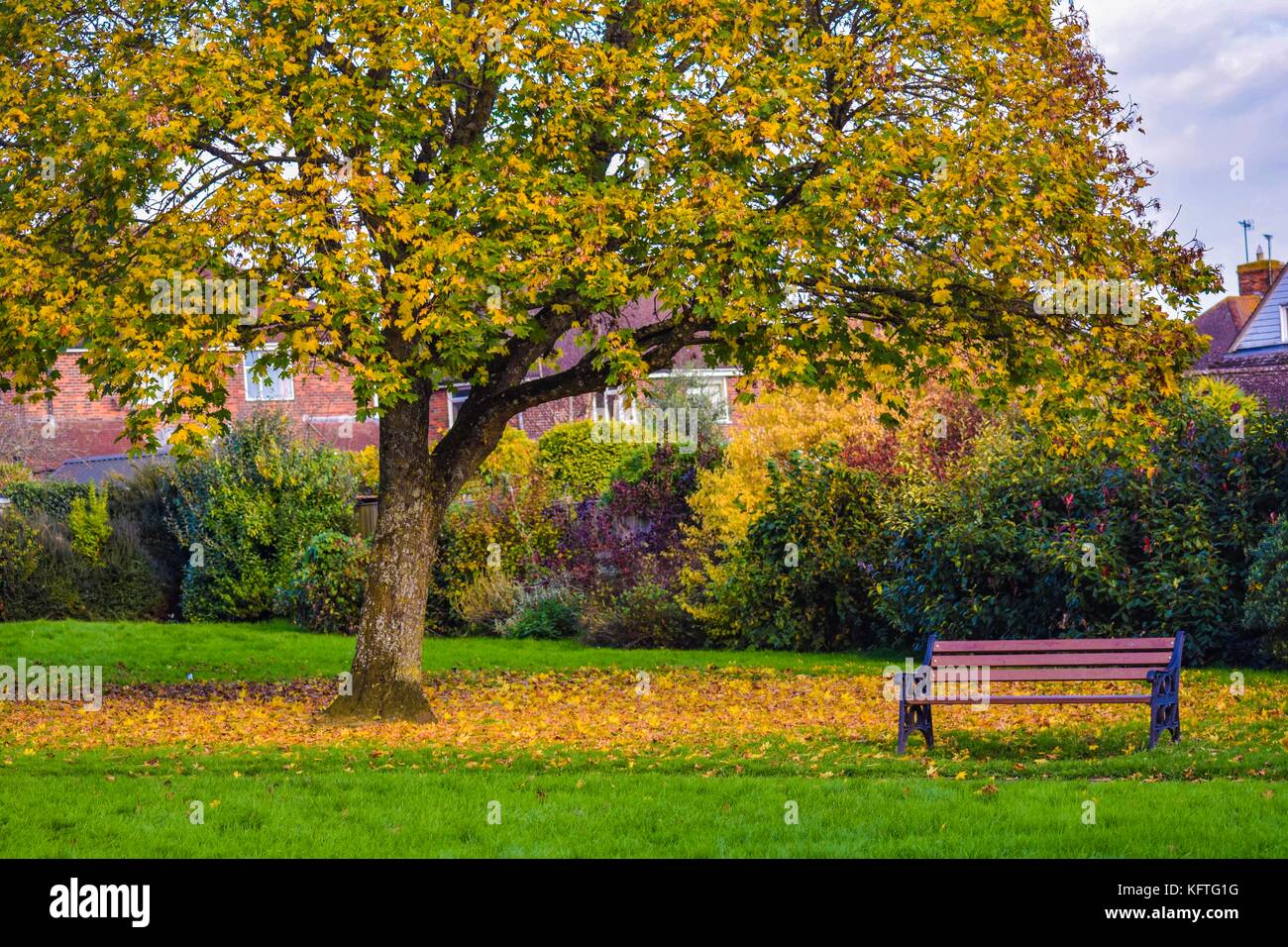 Beautiful somerset house in hi-res stock photography and images - Alamy