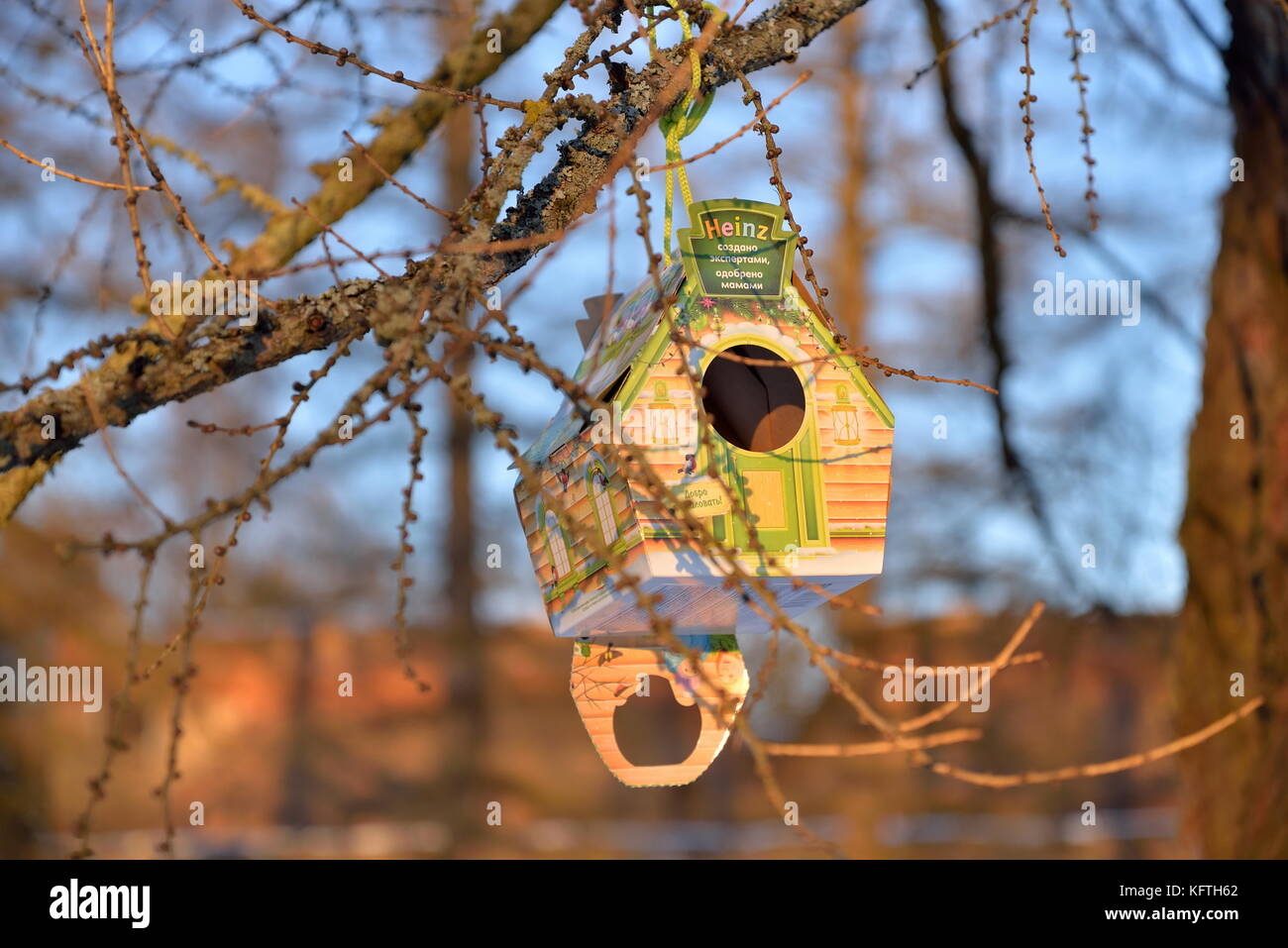 Cardboard feeder for the birds in winter. Pushkin, Tsarskoye Sel Stock ...