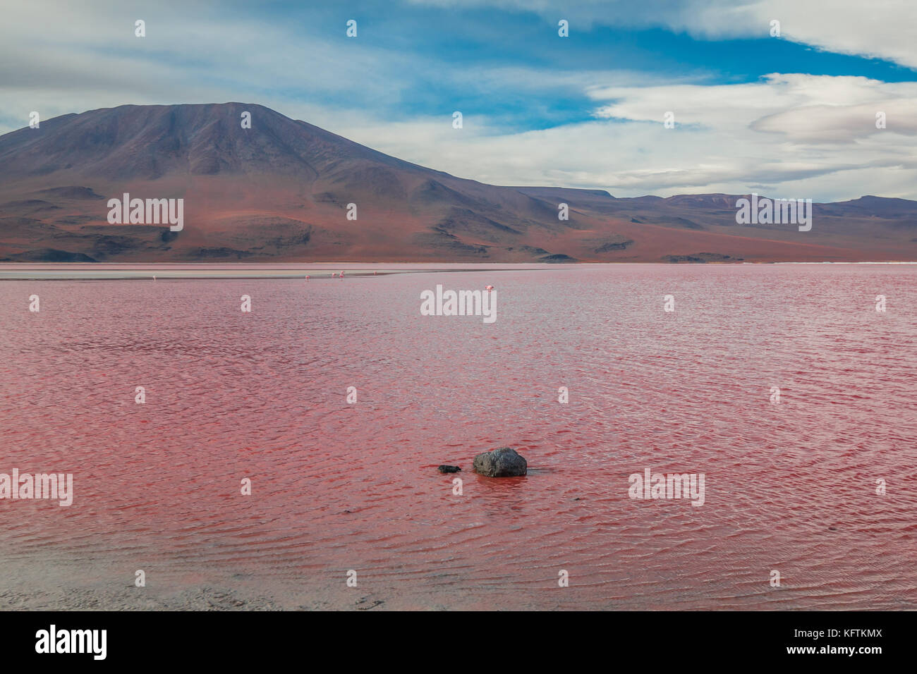 Red Lake in Salar Uyuni in Bolivia Stock Photo - Alamy