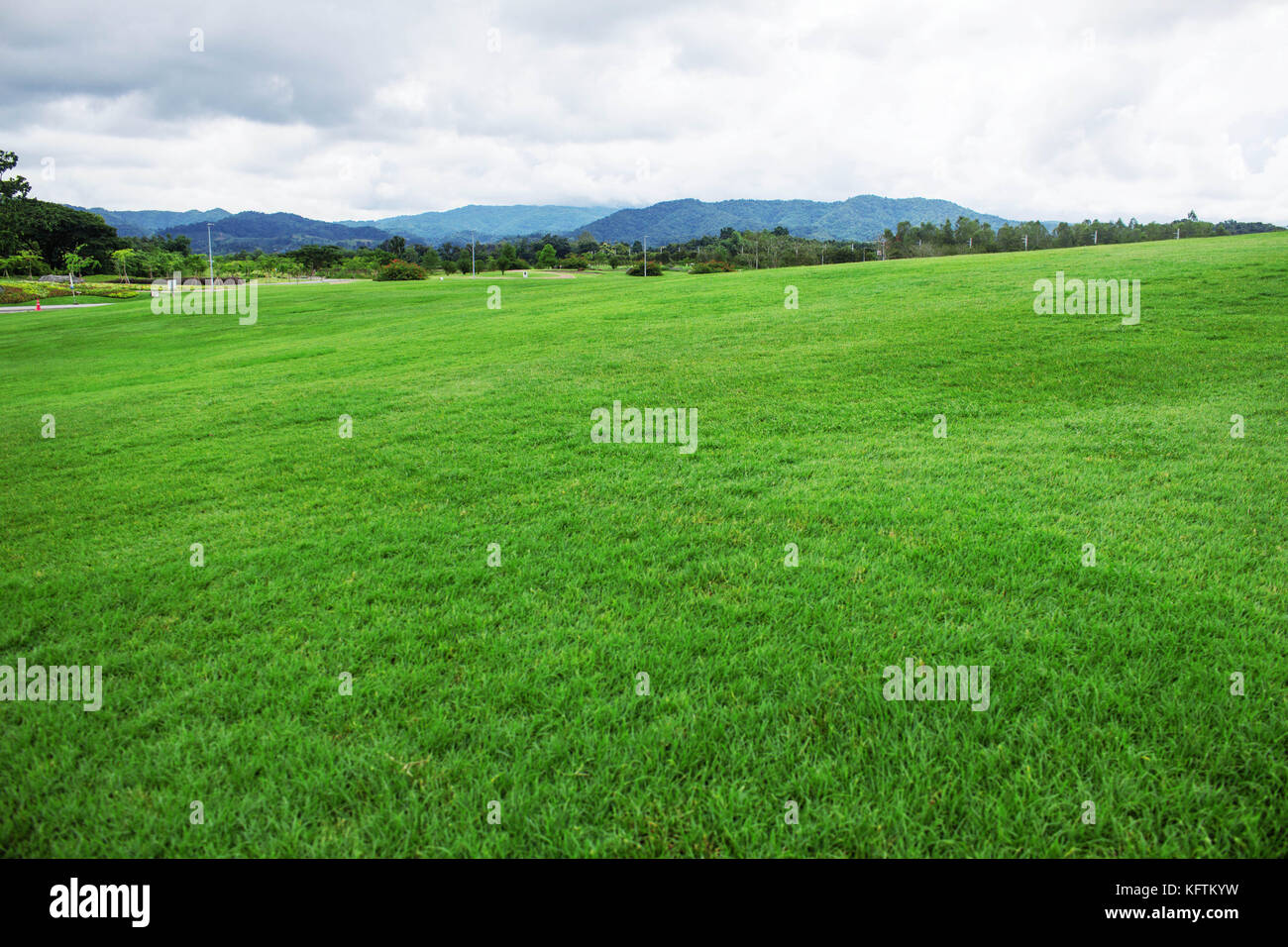 Green lawn in garden with the sky Stock Photo - Alamy