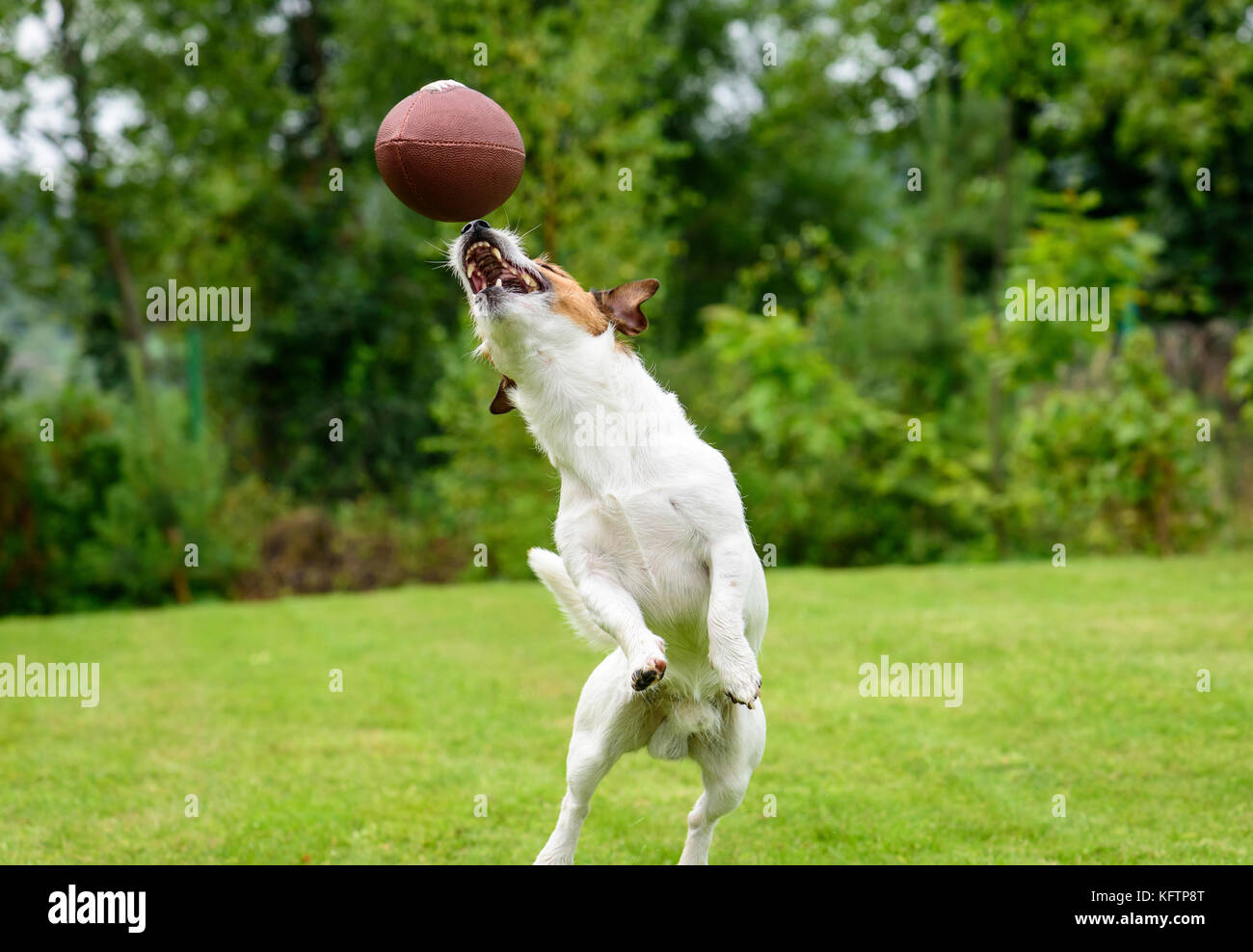 Funny rugby hi-res stock photography and images - Alamy