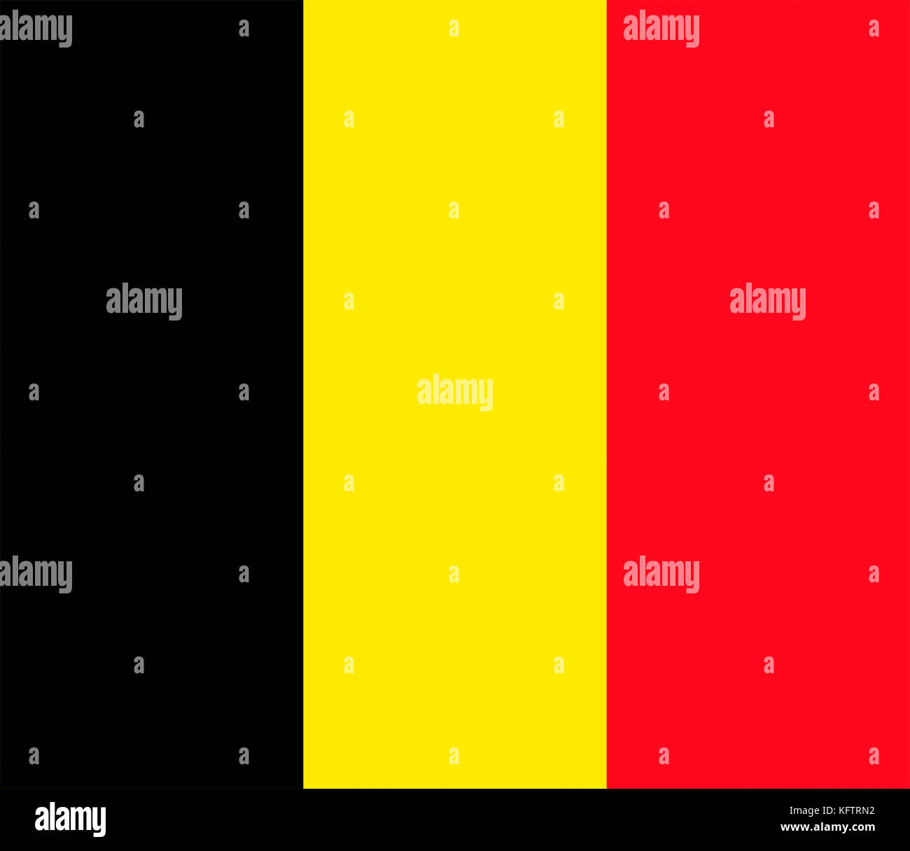 A vertical tricolour of black, yellow, and red with a 13:15 ratio ...