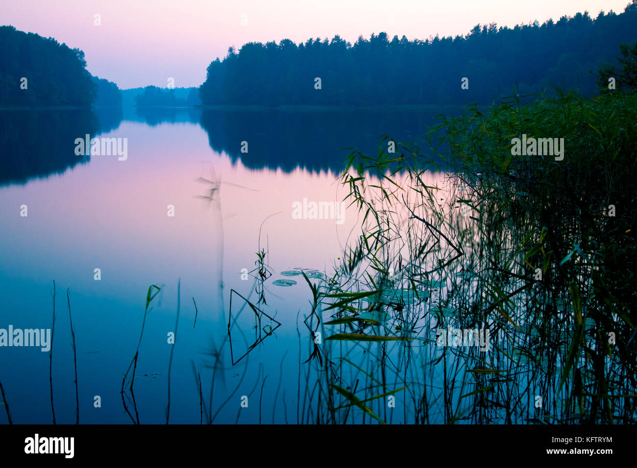 Dramatic sunrise over quiet forest lake Seliger, Russia Stock Photo - Alamy