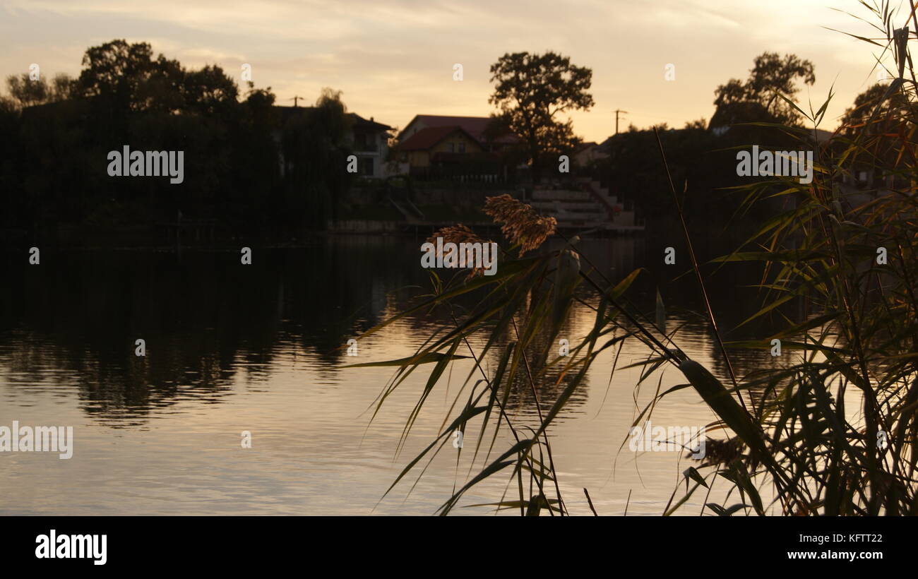 Plain Ground High Resolution Stock Photography and Images - Alamy