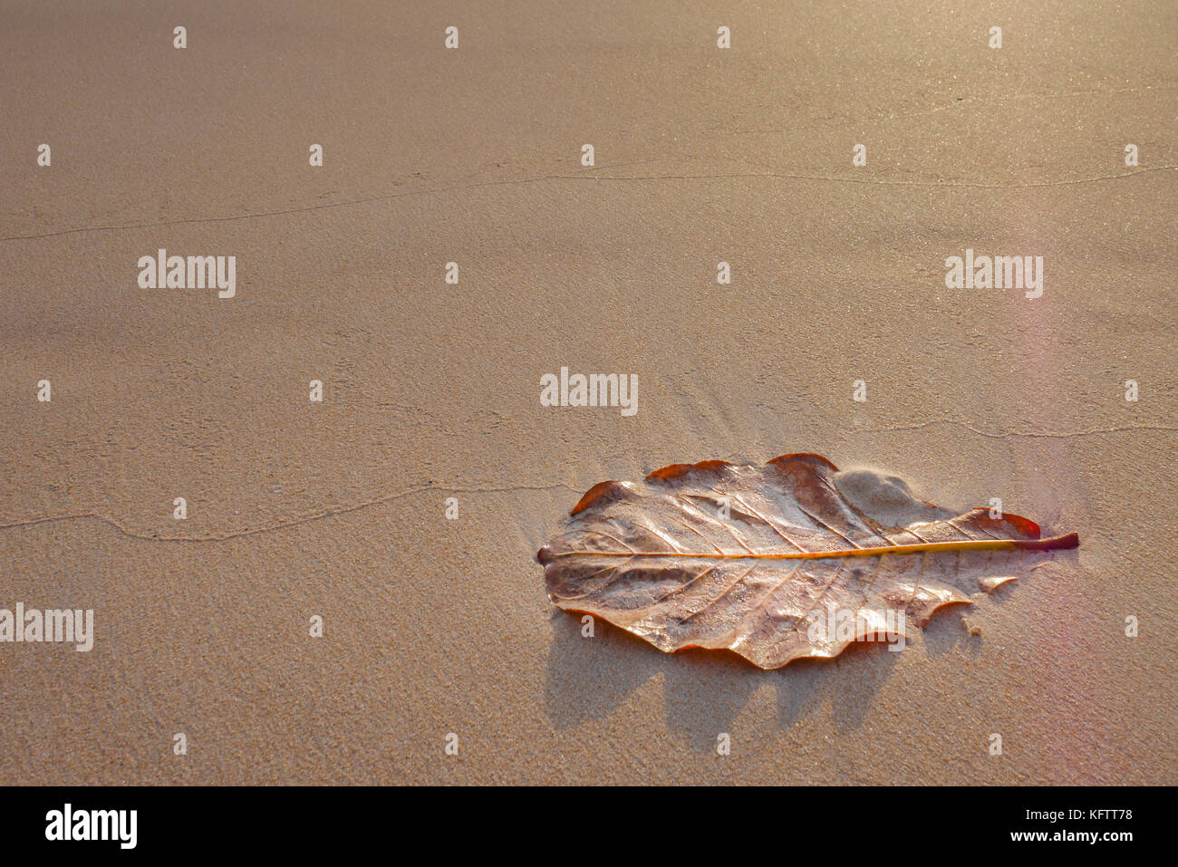 Pattern and structure on the beach as a background hi-res stock ...