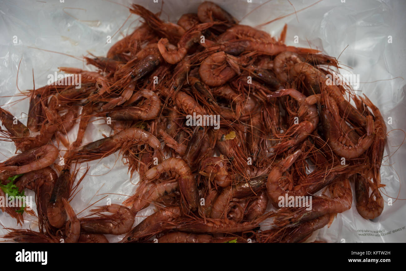 closeup view of shrimps Stock Photo - Alamy