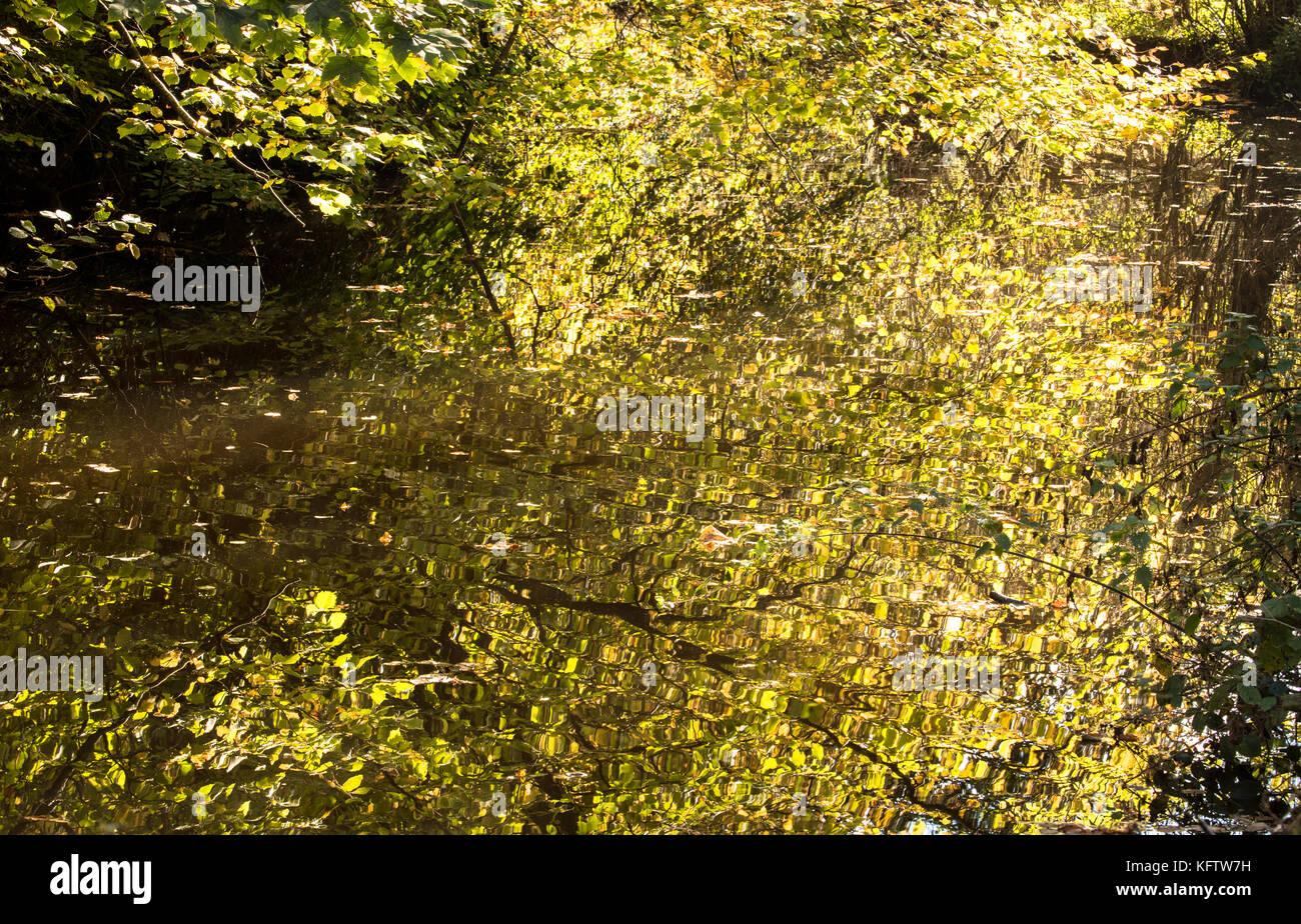 Reflections and patterns hi-res stock photography and images - Alamy