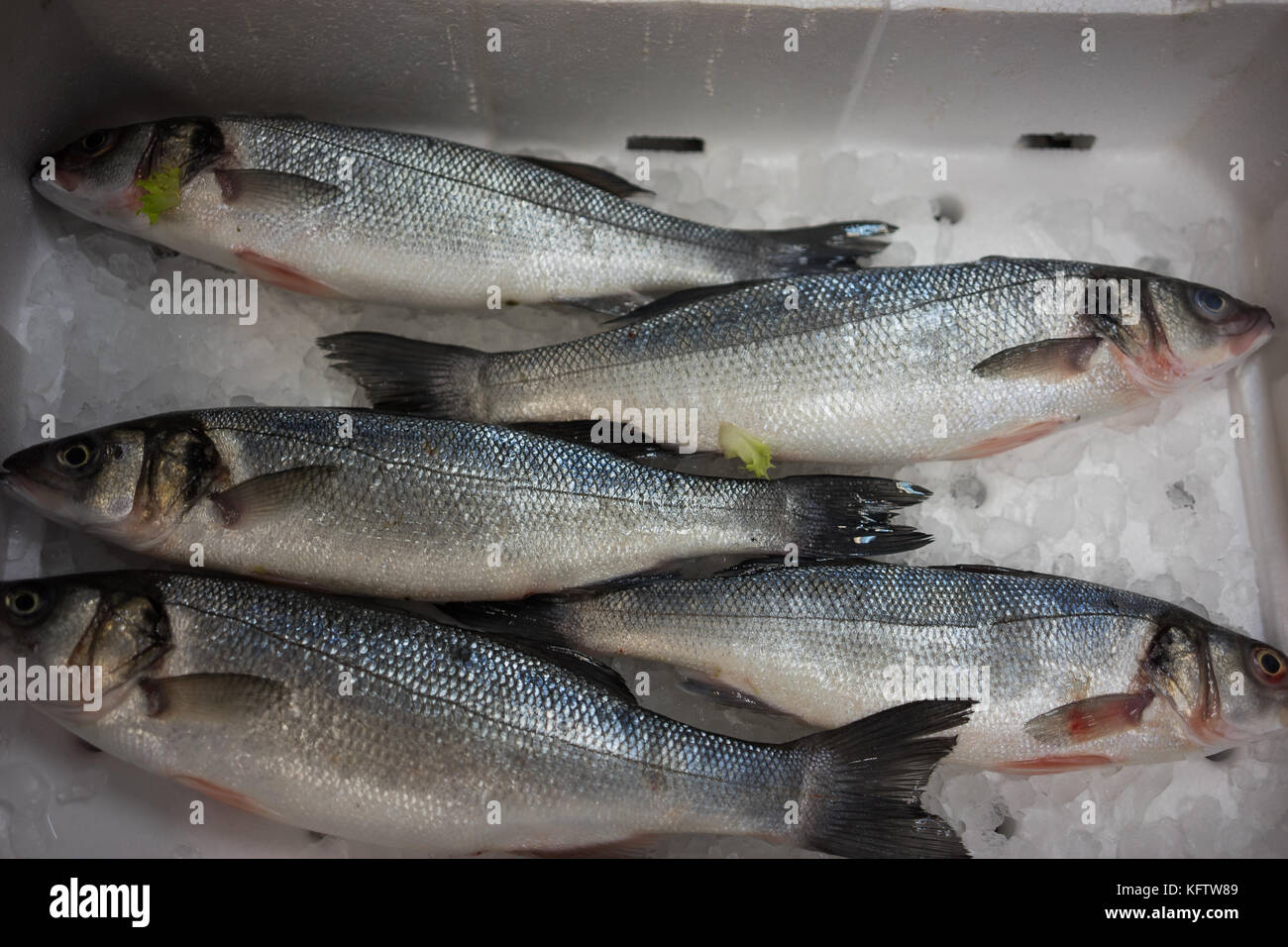 closeup view of raw fishes Stock Photo - Alamy