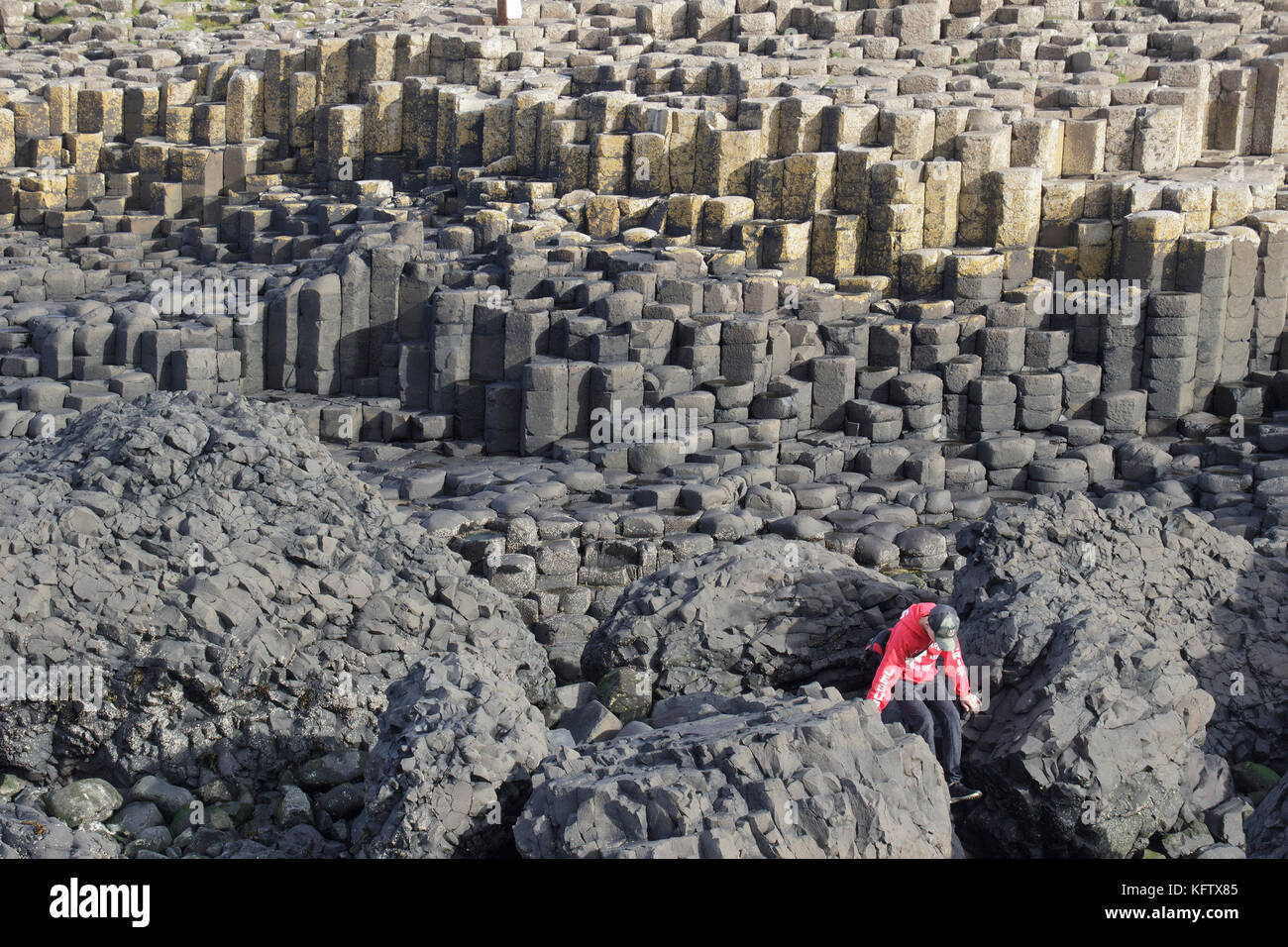 basaltic columns, Giants Causeway, Bushmills, Co. Antrim, Northern ...