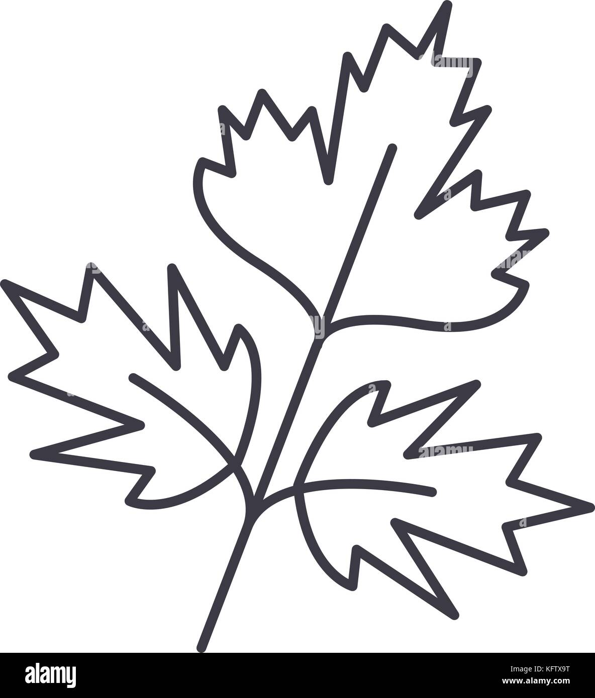 parsley vector line icon, sign, illustration on background, editable ...