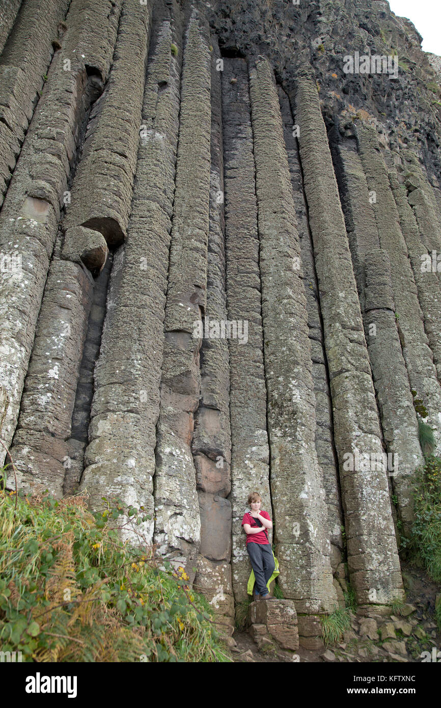 Organ pipes giants causeway hi-res stock photography and images - Alamy