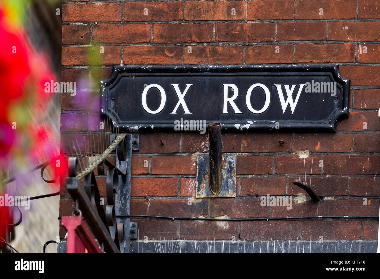 Unusual street name signs - Ox Row, Salisbury, Wiltshire, UK Stock ...