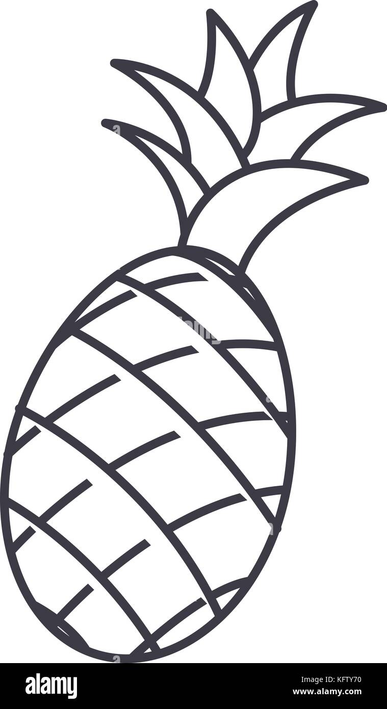 pineapple vector line icon, sign, illustration on background, editable ...