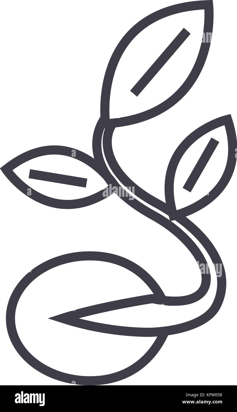 seeds,grow plant vector line icon, sign, illustration on background ...