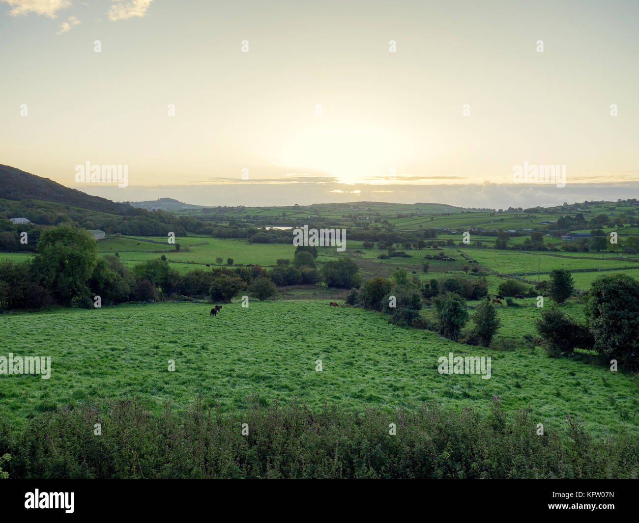 Early Autumn countryside morning,Northern Ireland Stock Photo - Alamy