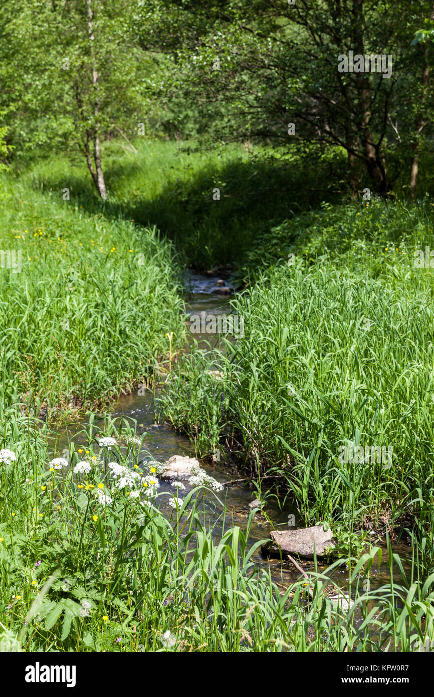 Bach im Sommer Landschaft Stock Photo - Alamy