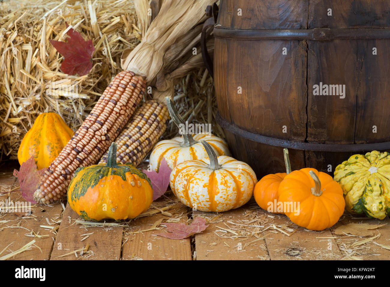 Colorful gourds and corn on a wooden surface Stock Photo - Alamy