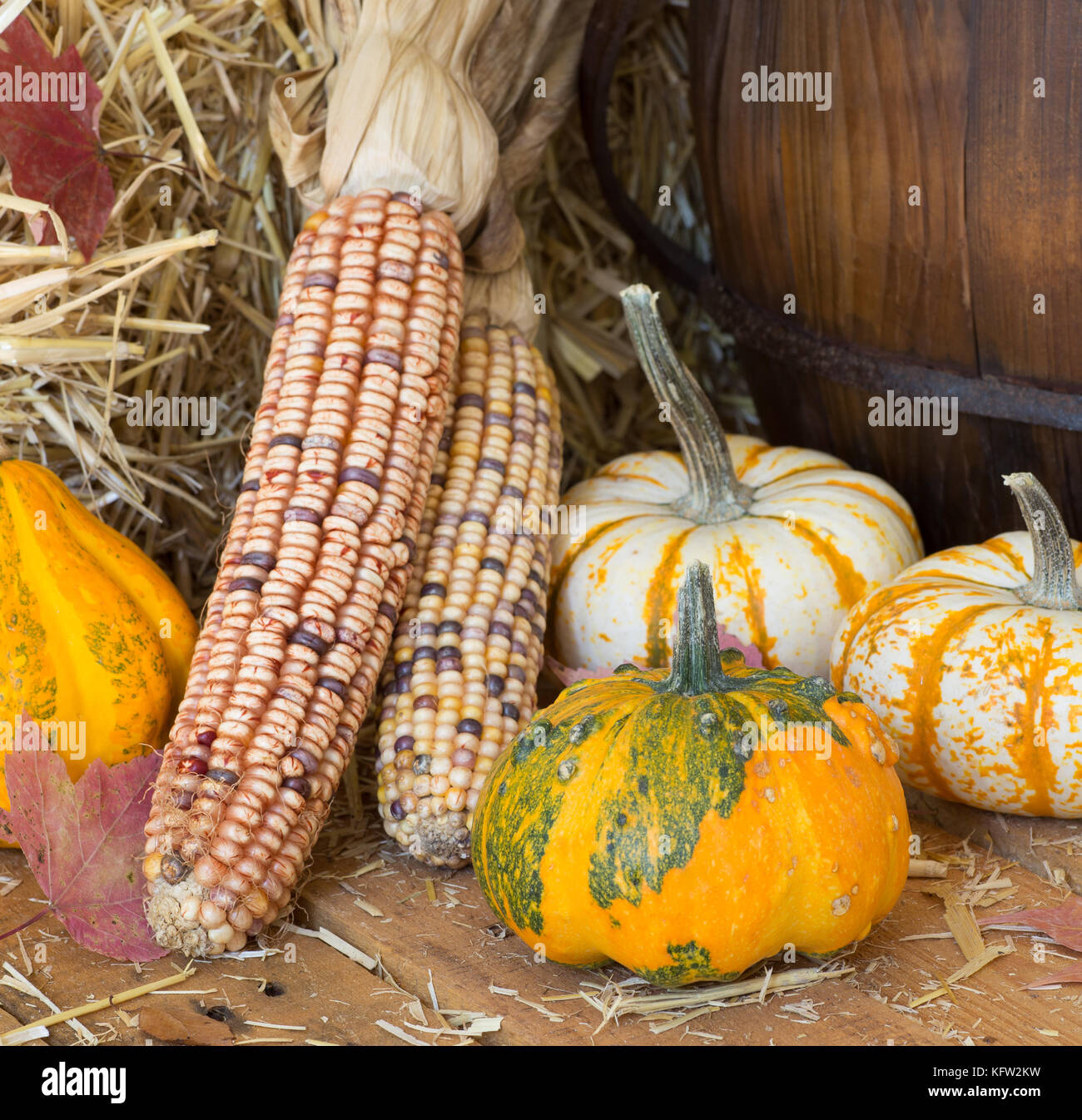 Colorful gourds and corn on a wooden surface Stock Photo - Alamy