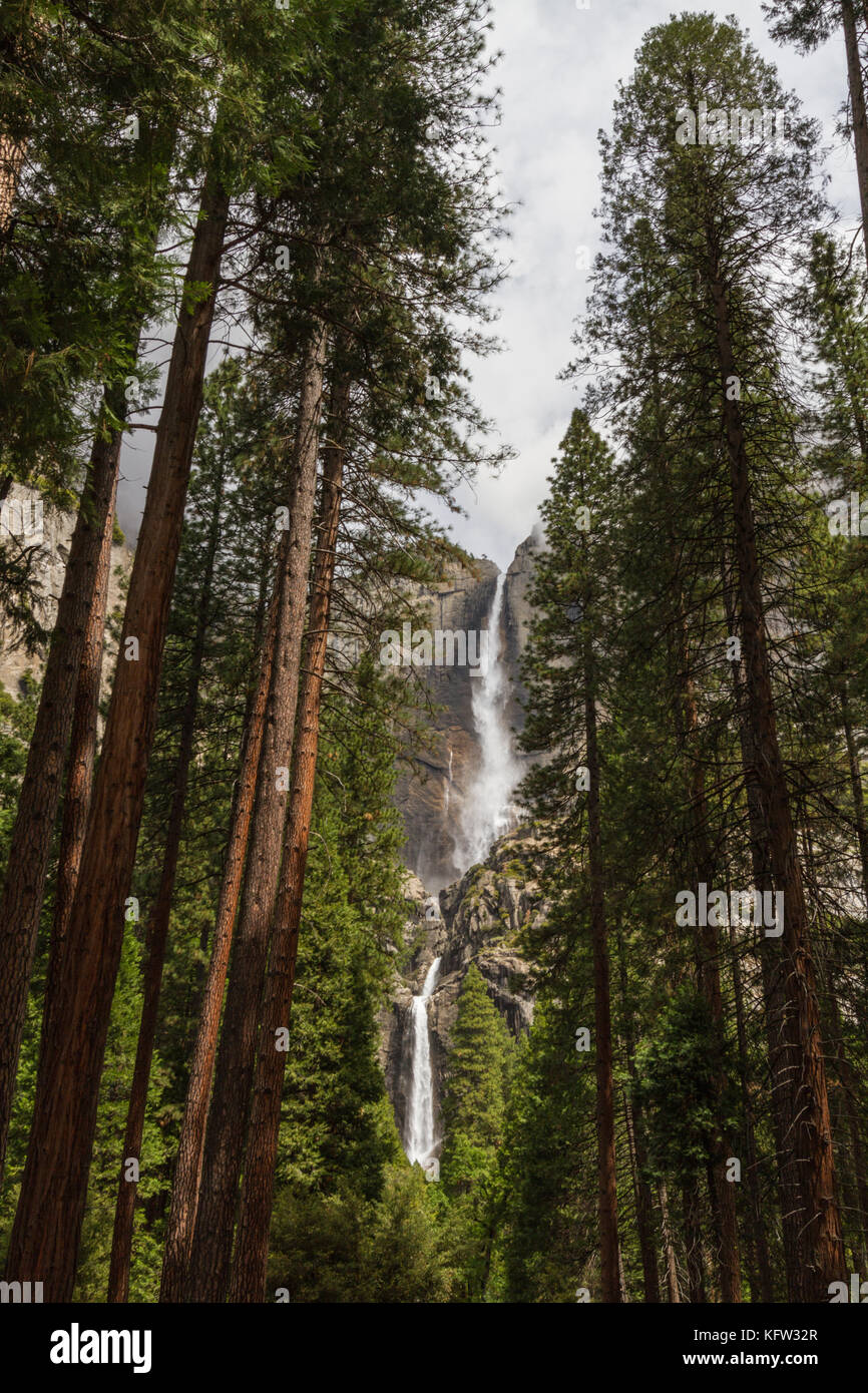 Vertical view of both Upper and Lower Yosemite Falls from the paved ...