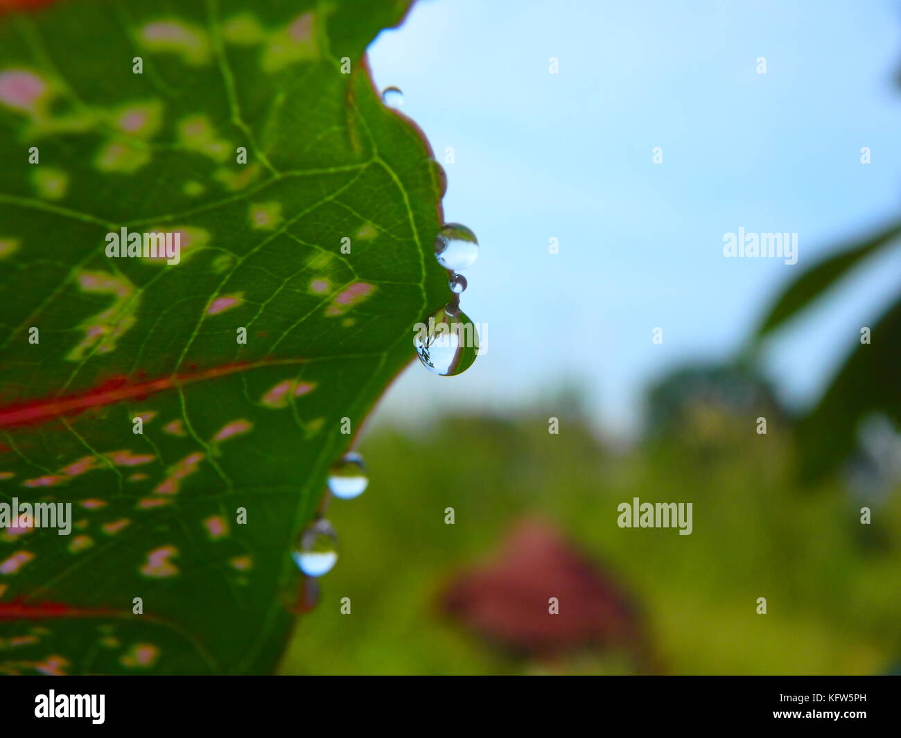 Simple droplets hi-res stock photography and images - Alamy