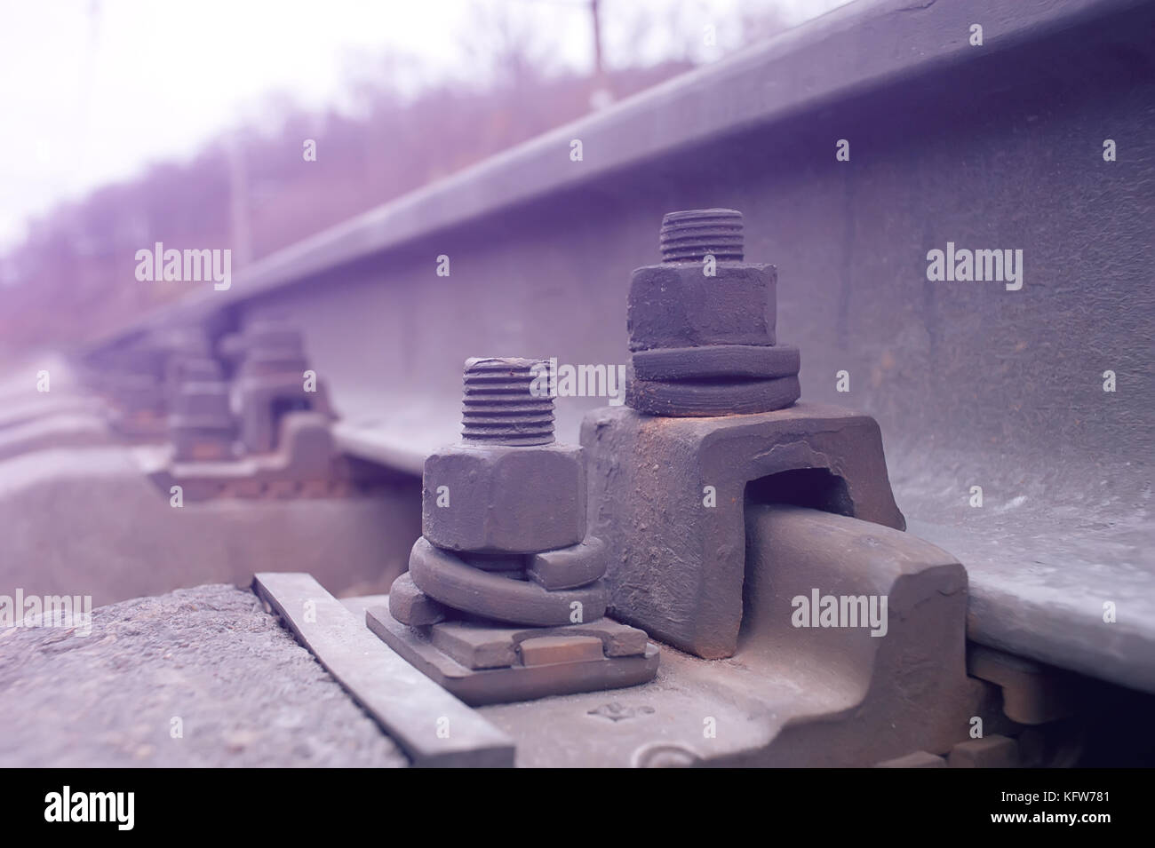 Rail fastener for hold rail with concrete plinth track on viaduct of ...