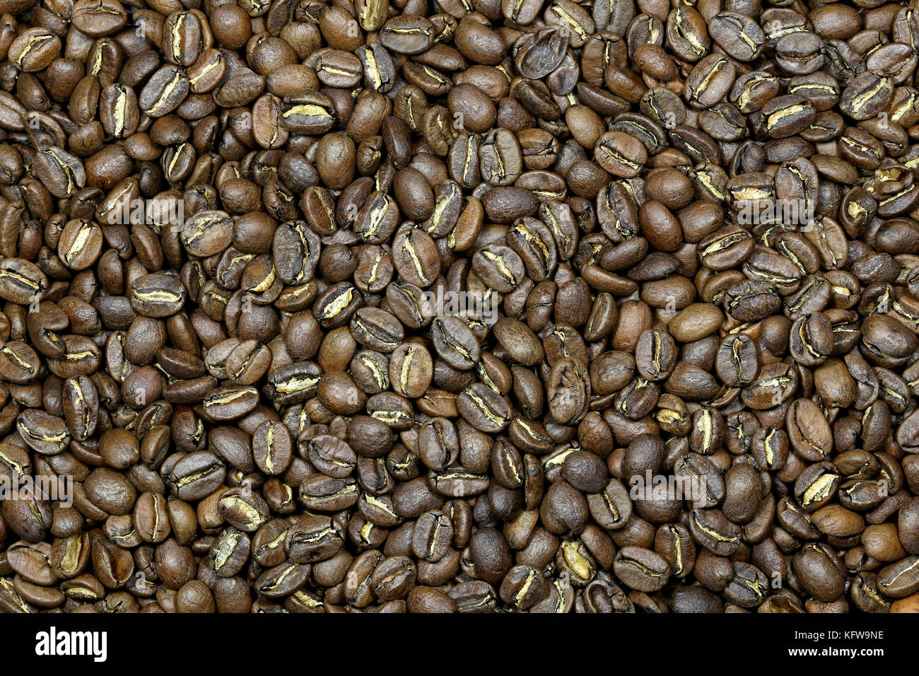 manufacture roasted Indonesian Java Arabica coffee beans (variety ...