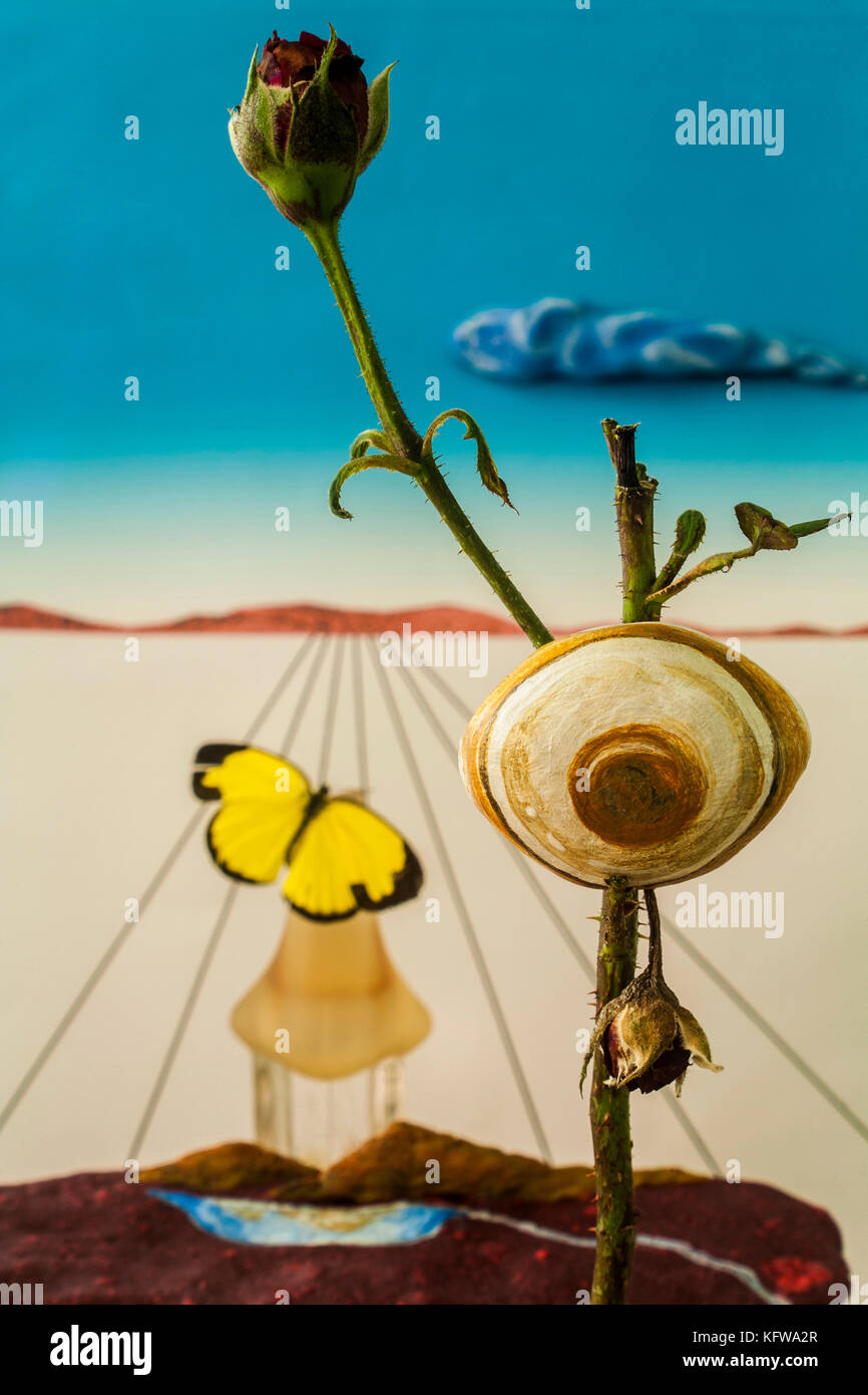 Human eye / surreal photography Stock Photo - Alamy