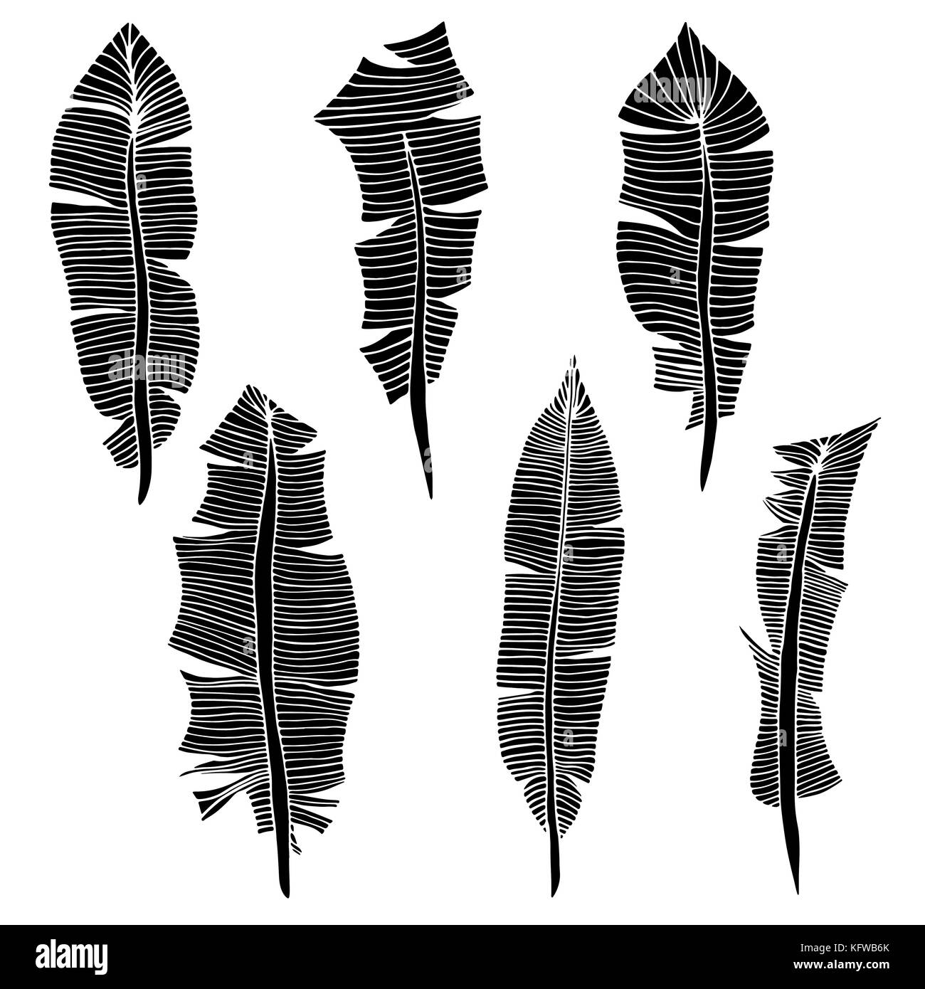Feather Set. Vector illustration. Isolated on white Stock Vector Image ...