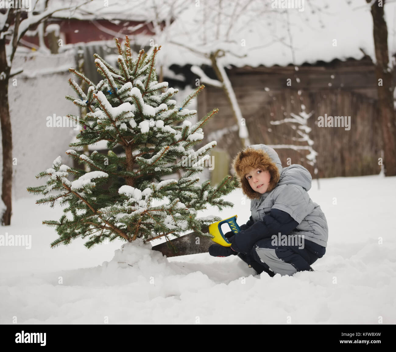 boy with saw sawing christmas tree Stock Photo - Alamy