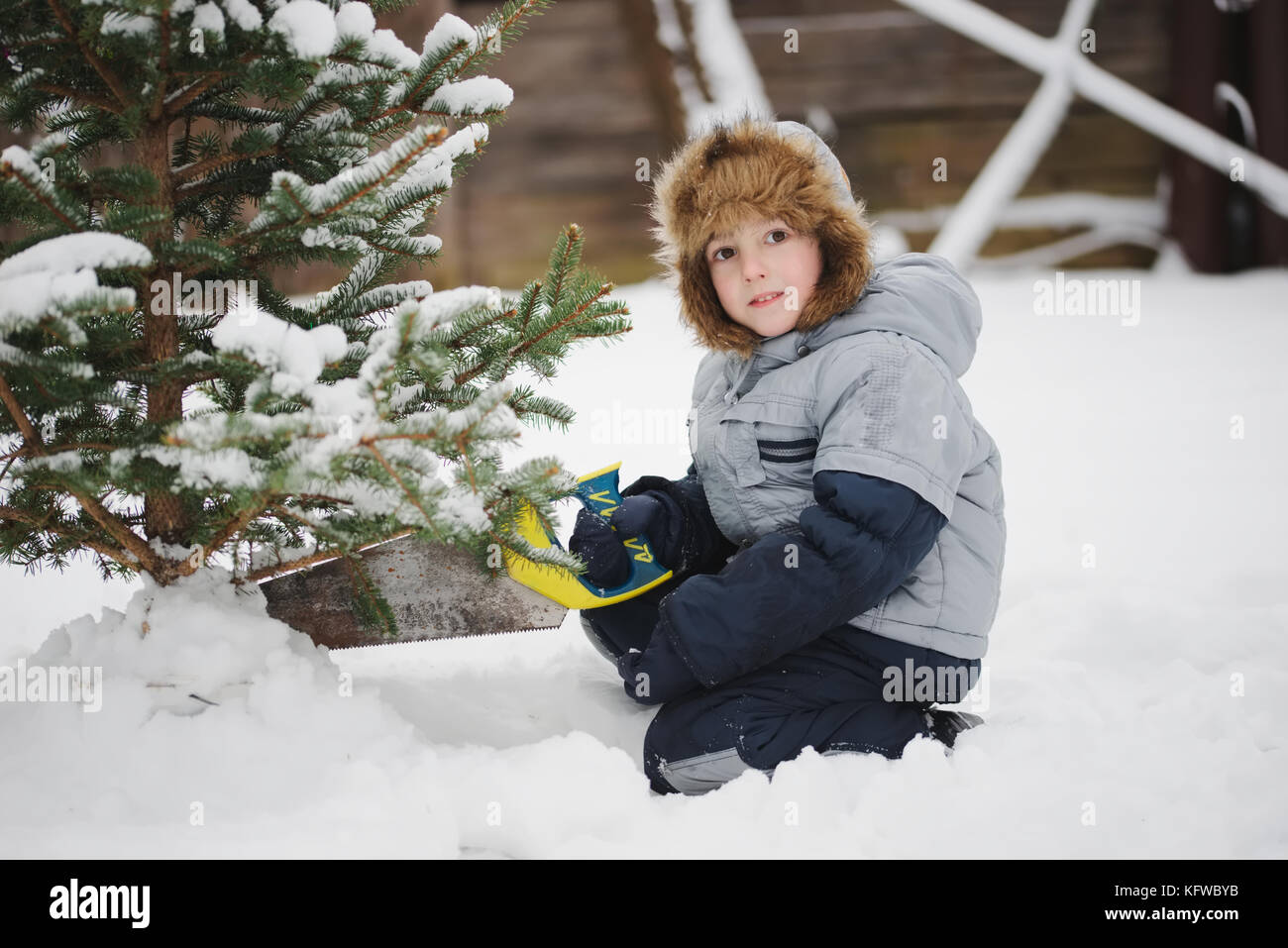 boy with saw sawing christmas tree Stock Photo - Alamy