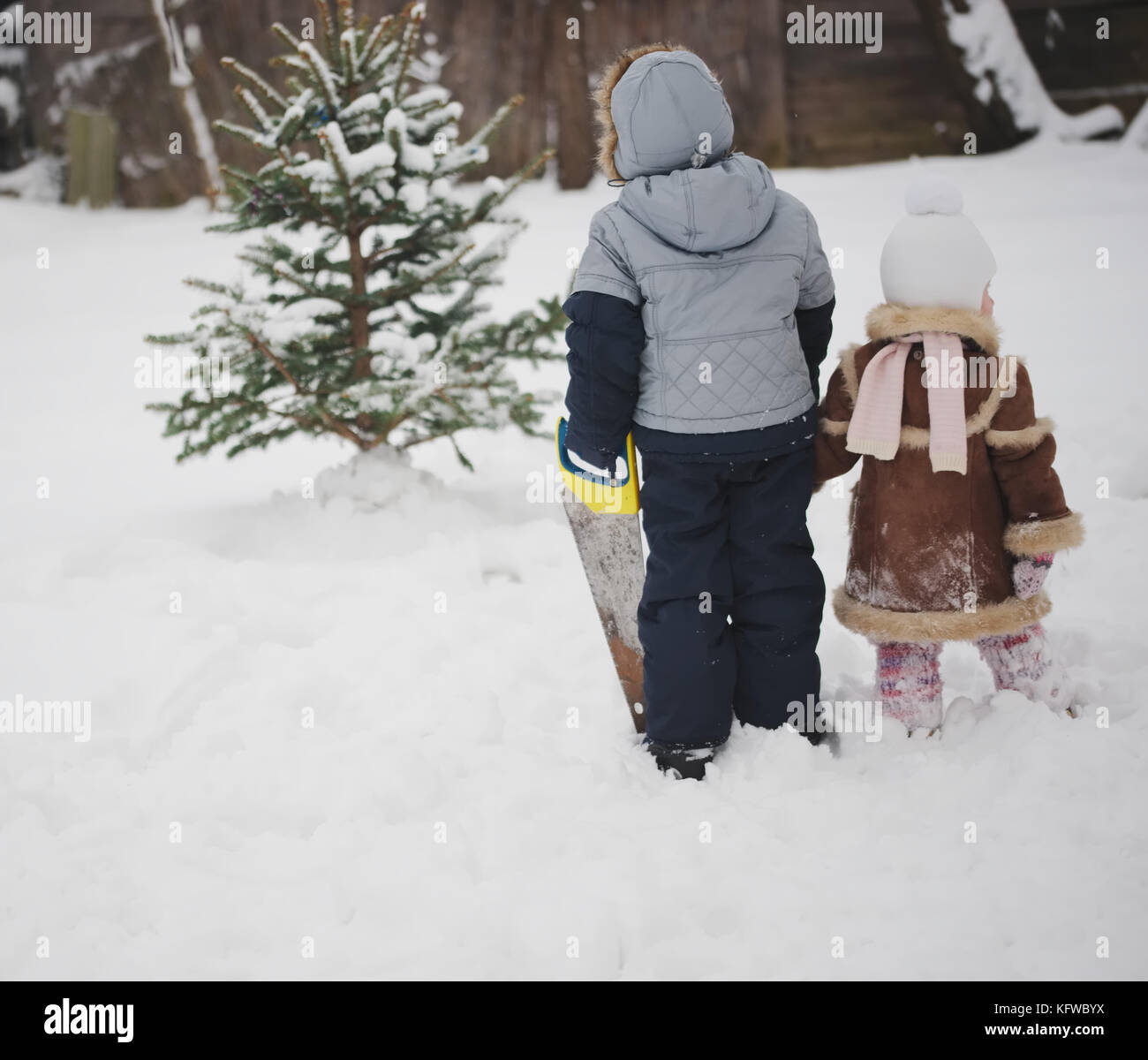 boy with saw sawing christmas tree Stock Photo - Alamy