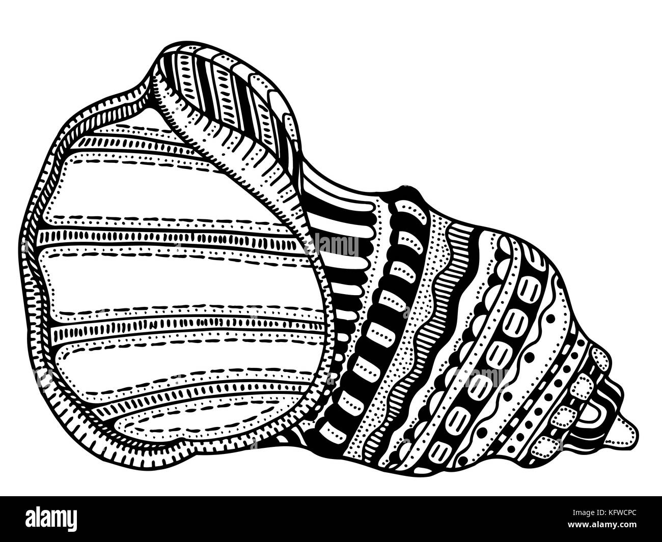 Zentangle stylized shell. Hand Drawn aquatic doodle vector illustration ...