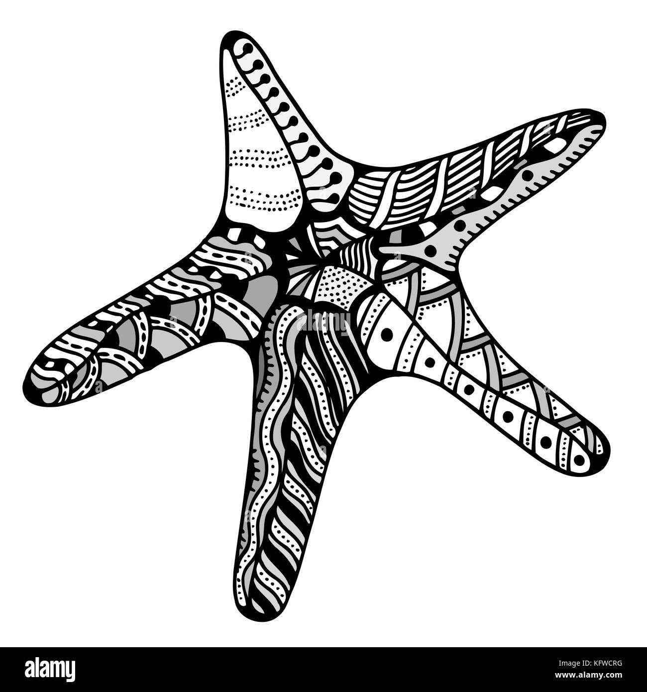 Starfish. Zentangle Vector illustration, isolated on white Stock Vector ...