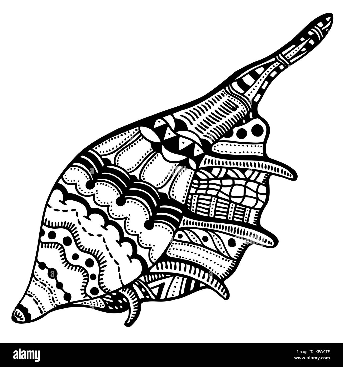 Zentangle stylized shell. Hand Drawn aquatic doodle vector illustration ...