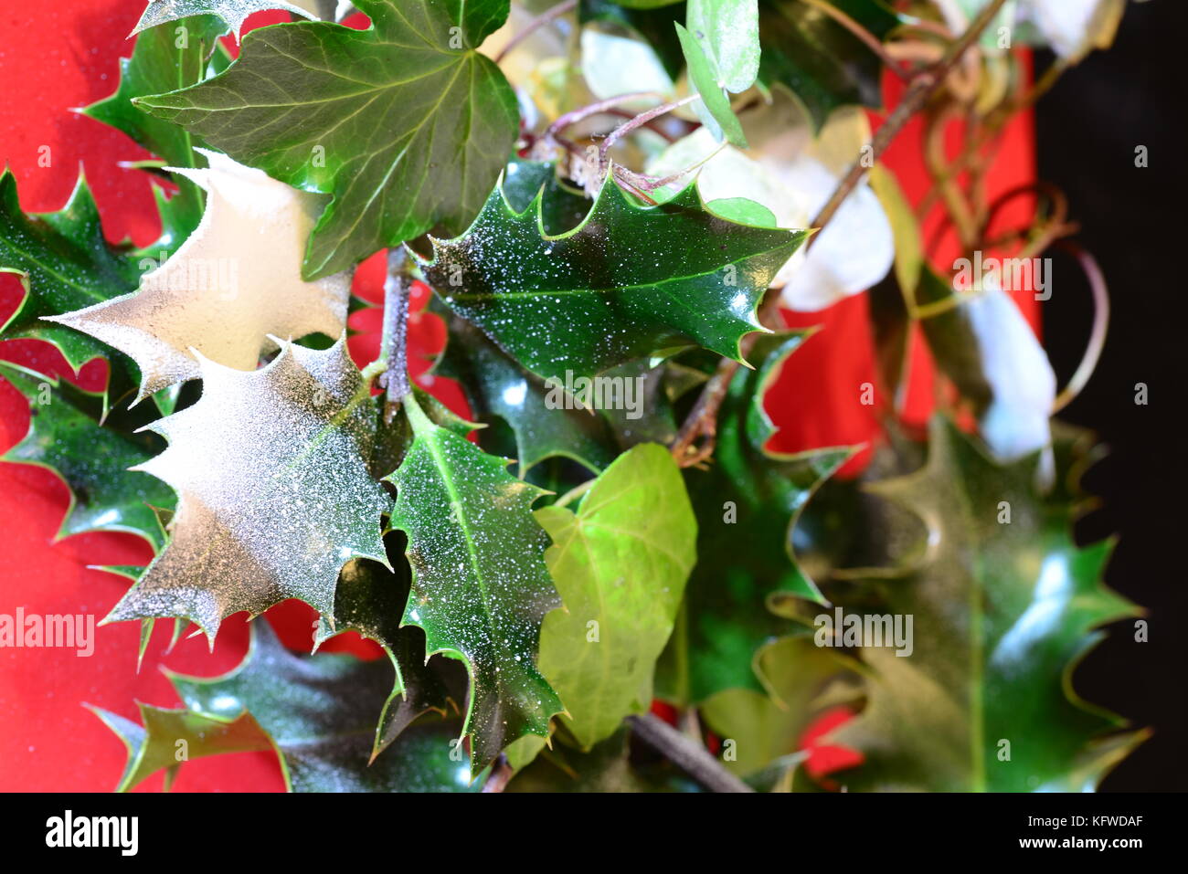 Holly And Ivy Decorations High Resolution Stock Photography and Images ...