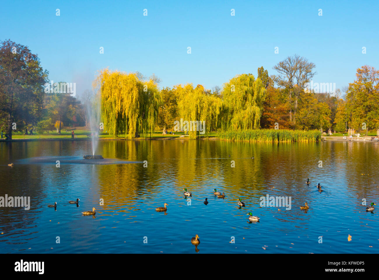 Stromovka, park, Bubenec, Prague, Czech Republic Stock Photo - Alamy