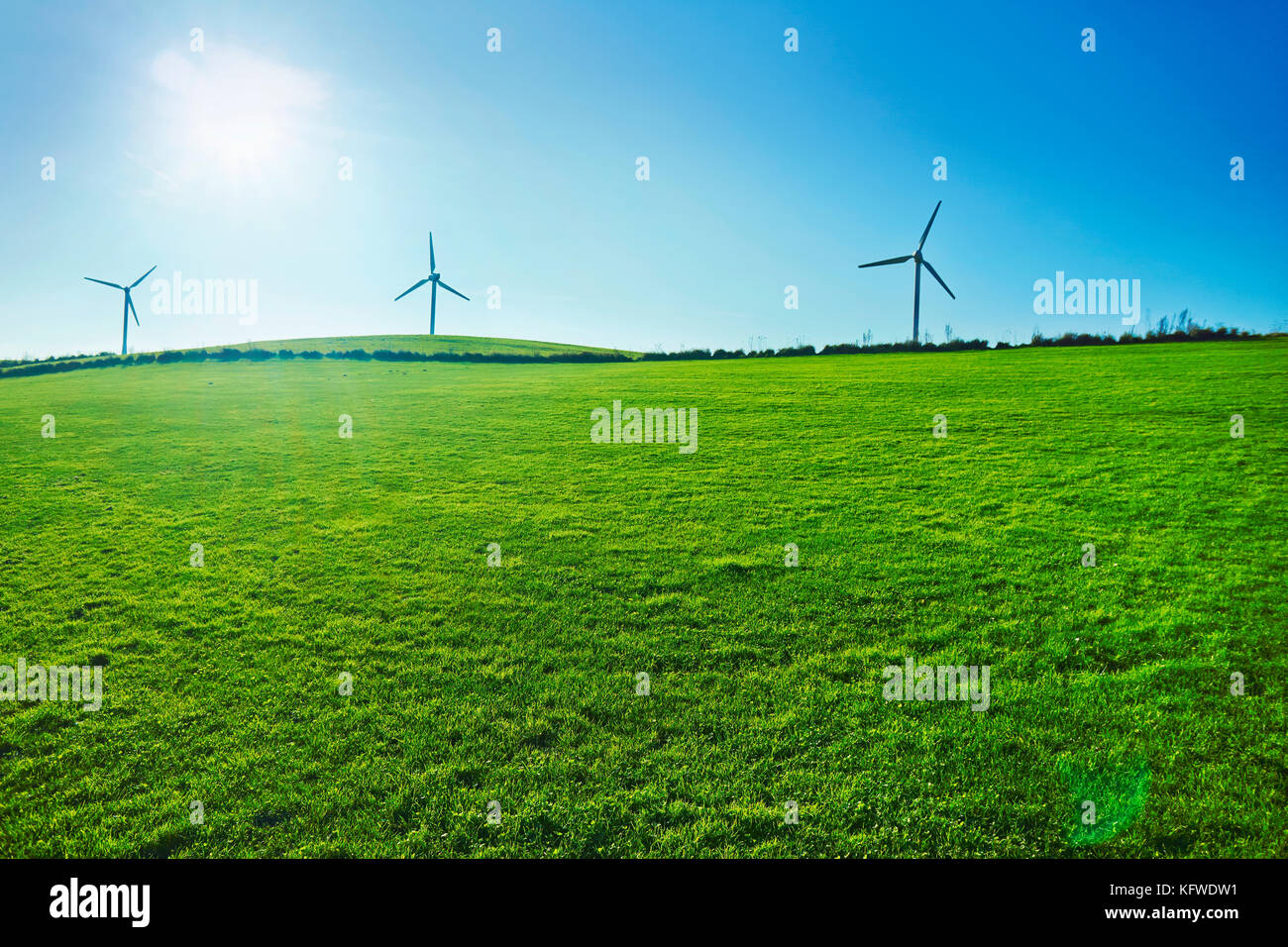 wind turbines on a green field. Green energy and environmental ...
