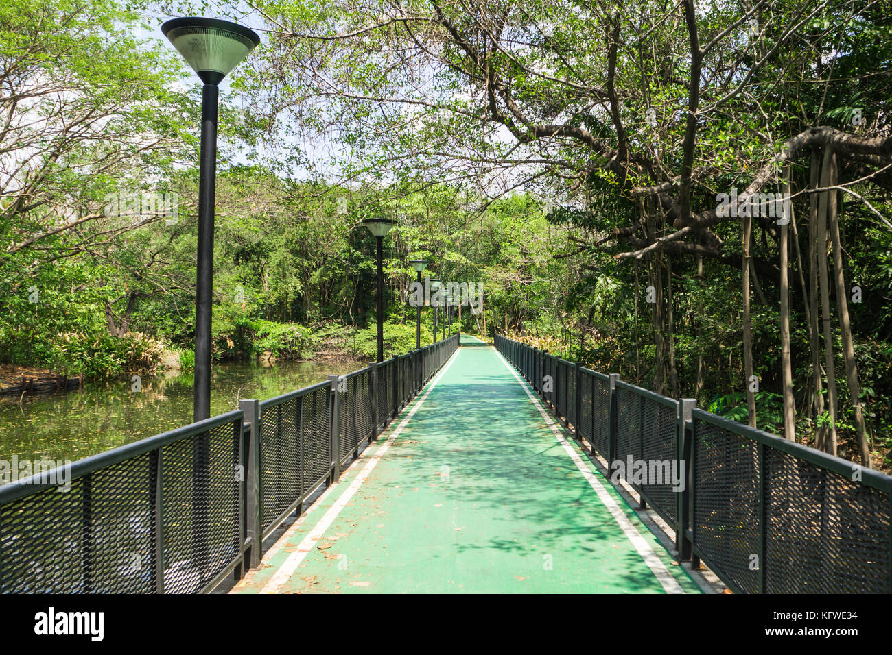 bridge in park Stock Photo - Alamy